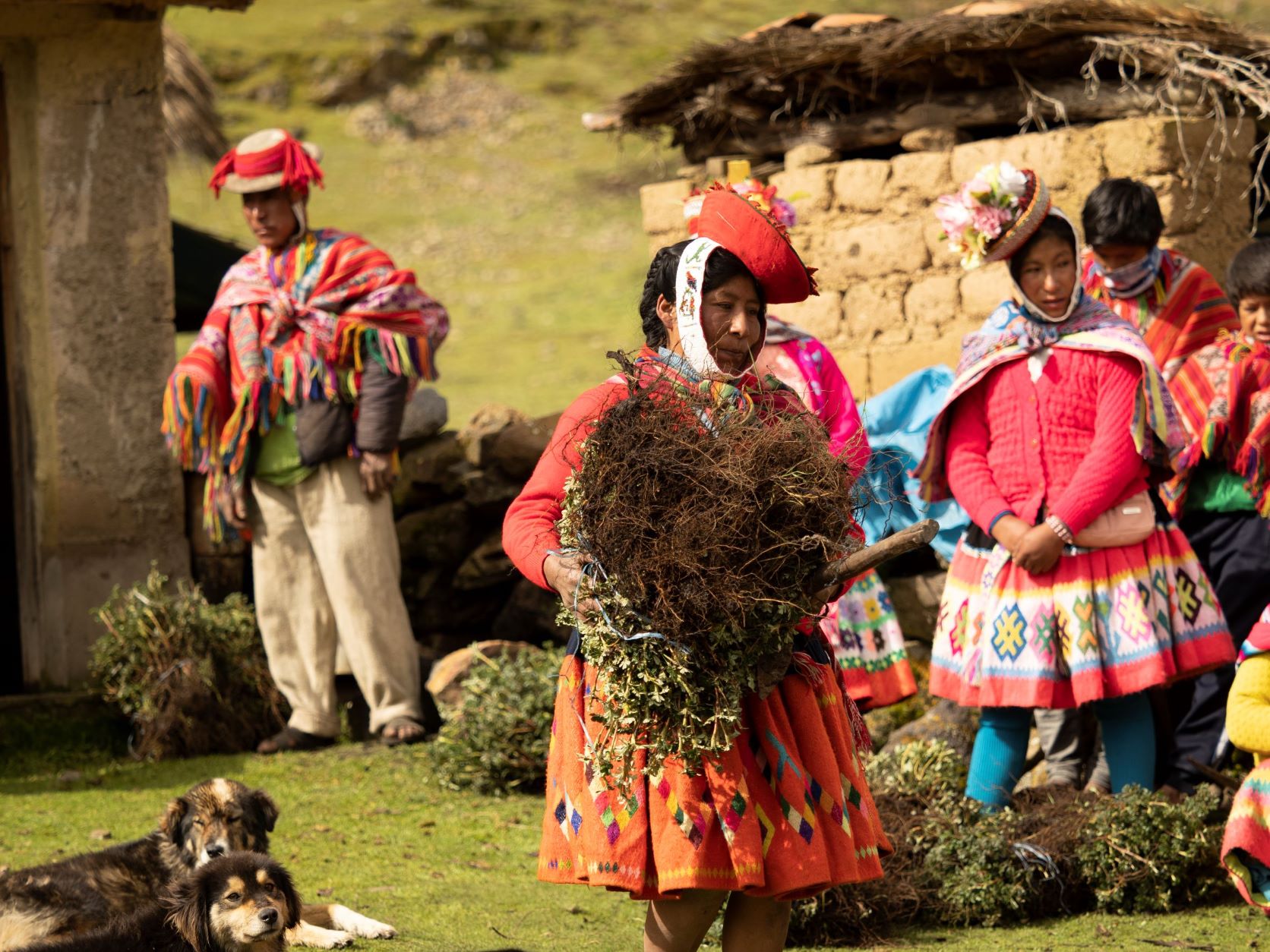 Acción Andina – building a community driven movement to restore 1 ...